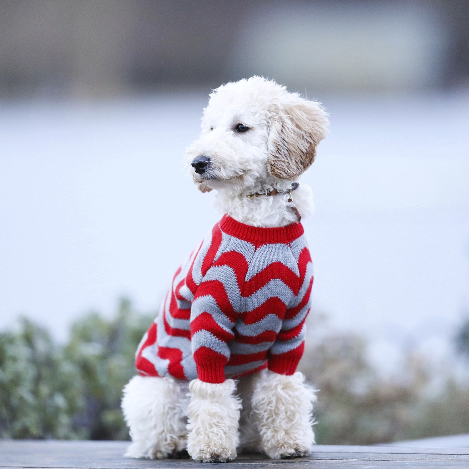 Zig Zag Jumper – OVERGLAM LONDON