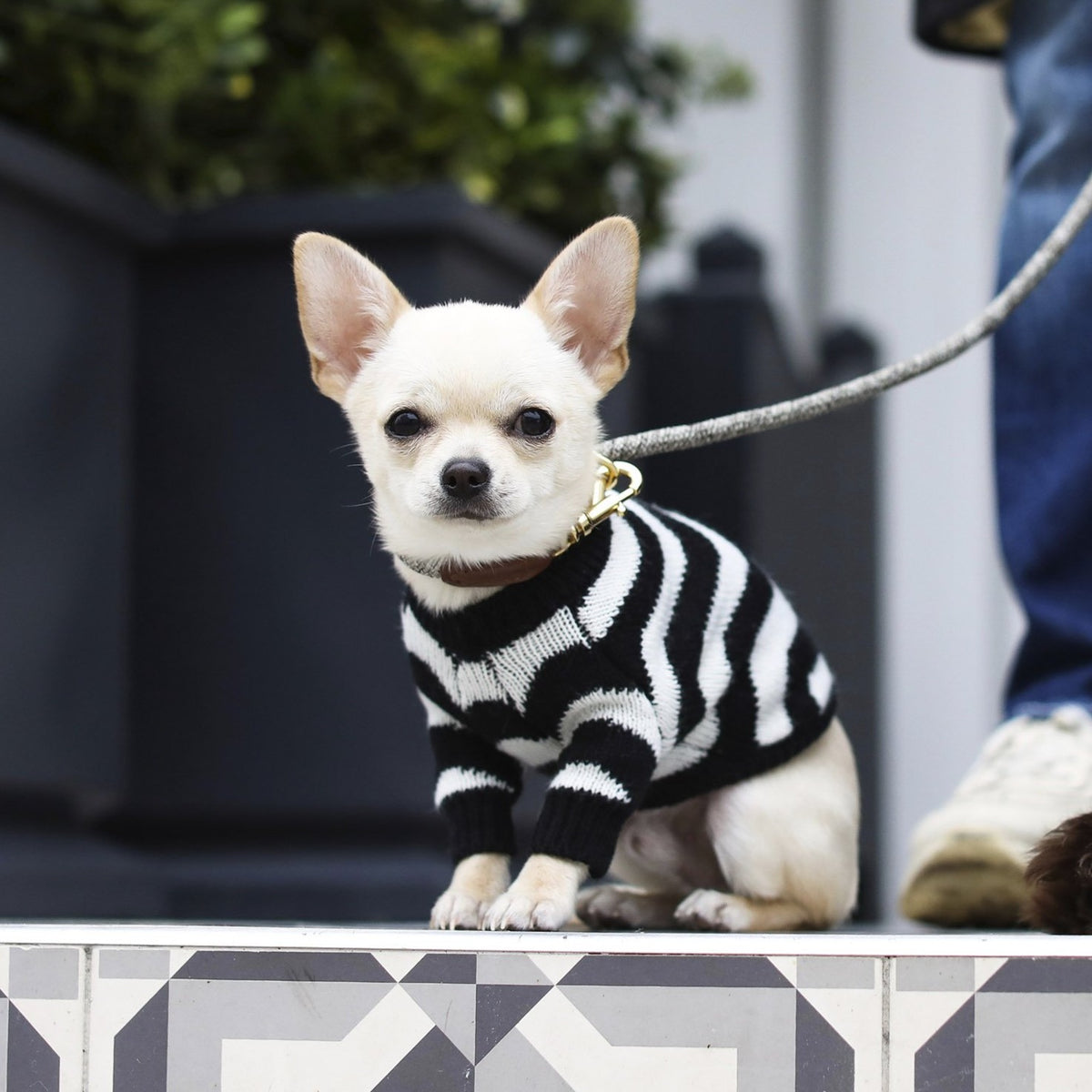 Zig Zag Jumper – OVERGLAM LONDON